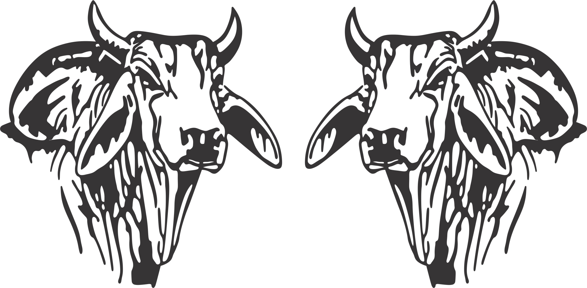 Brahman Bull Head Vehicle Sticker – Allens Tint & Signs