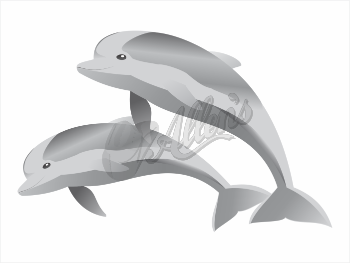 Dolphin Vehicle Sticker – Allens 4x4, Tint & Signs